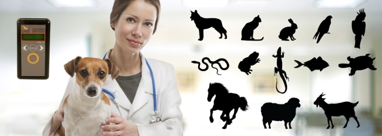 PIT Tags for Fish & Wildlife Research - Unified Information Devices