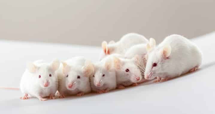 Home - Unified Information Devices