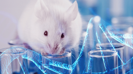 Laboratory Animal Temperature - Unified Information Devices