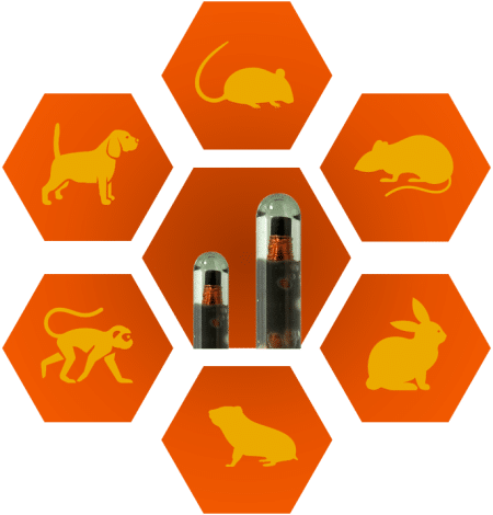 Microchip Surgical Vendor - Laboratory Animal Identification