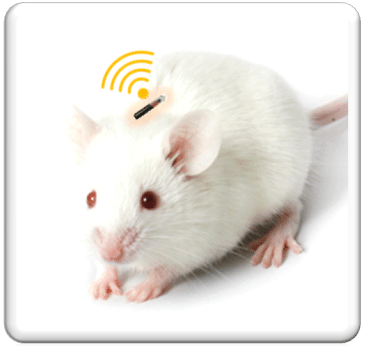 Home Cage Monitoring - Unified Information Devices