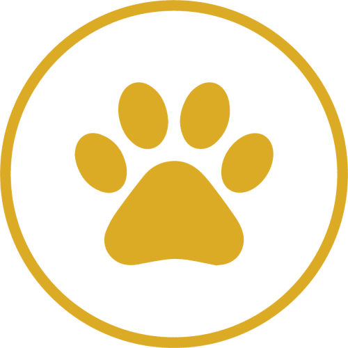 UID-Identification Solutions - Unified Information Devices