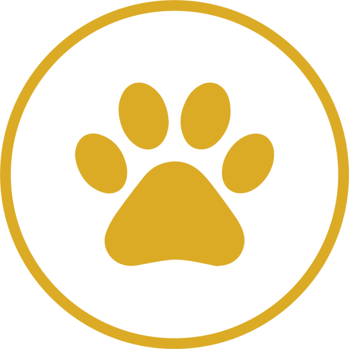 UID-Identification Solutions - Unified Information Devices