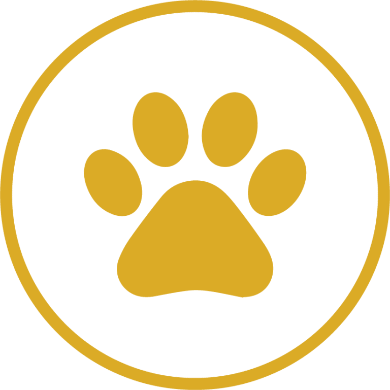 UID-Identification Solutions - Unified Information Devices