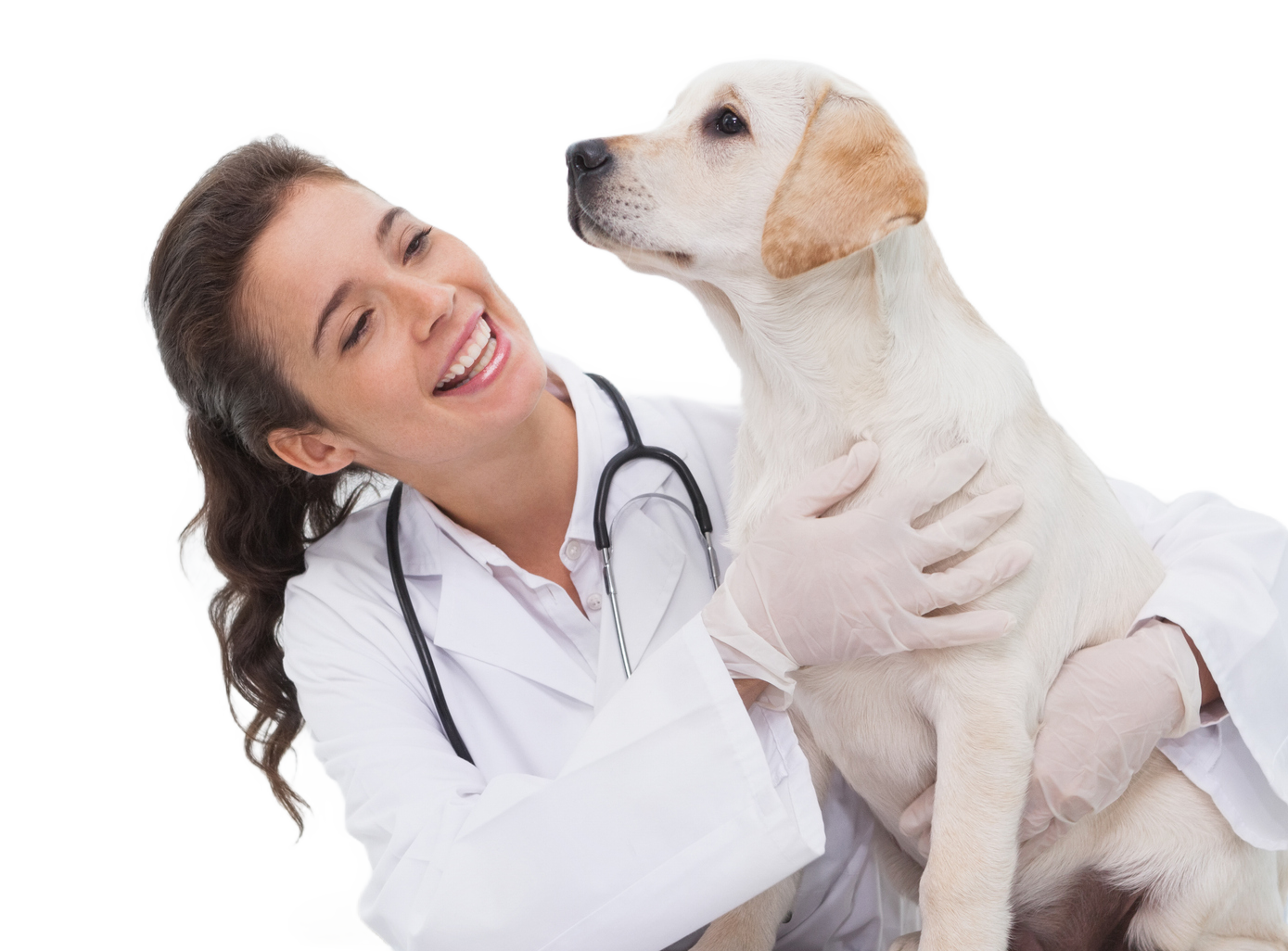 UID Identification Solutions - Unified Information Devices