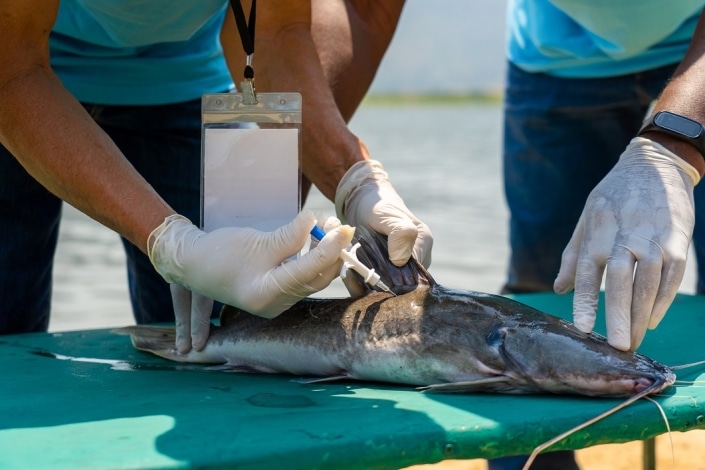 PIT Tagging Kit - Unified Information Devices